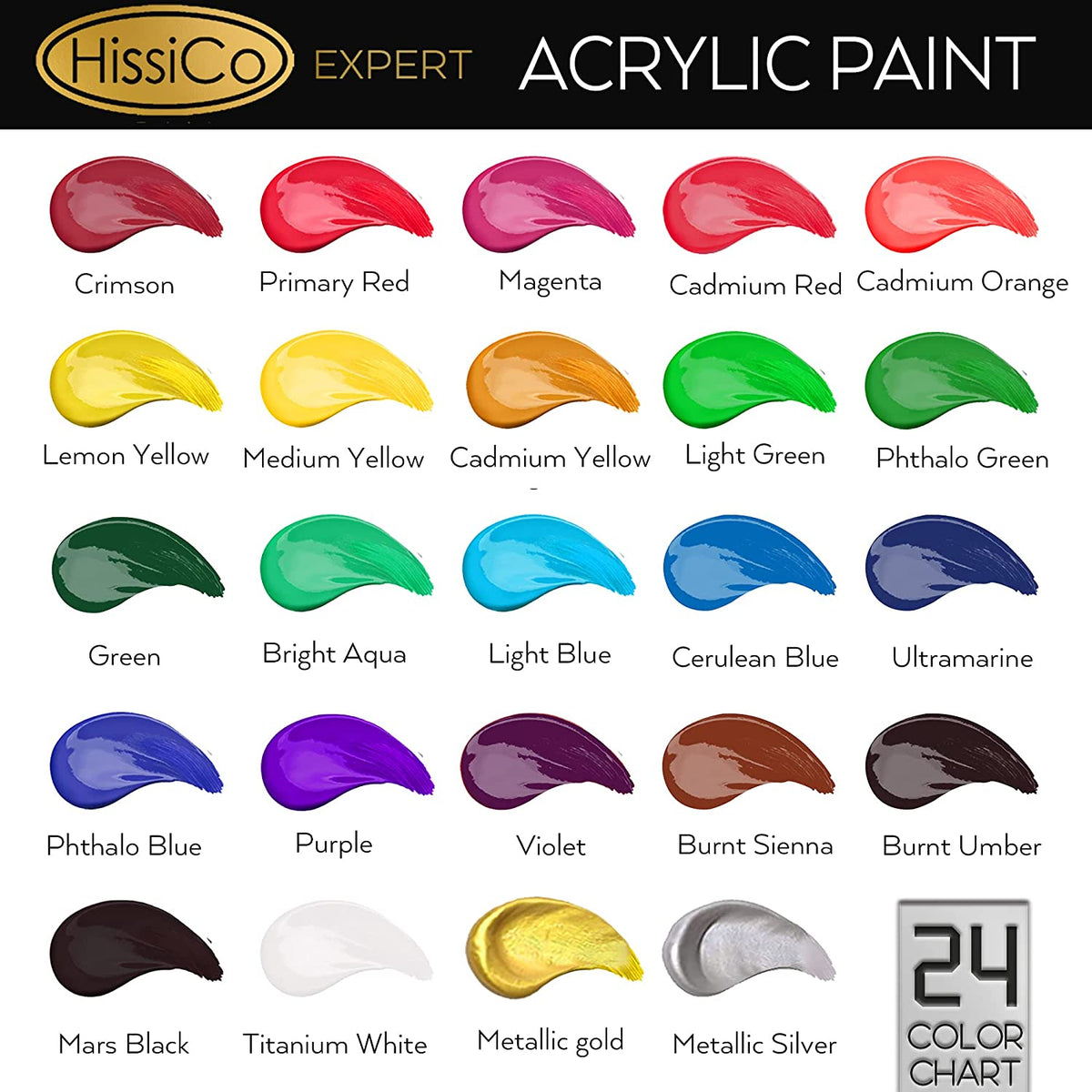 Acrylic Paint Set of Expert 24 Colors （0.74fl oz) 22 ml Tubes with 3 P ...
